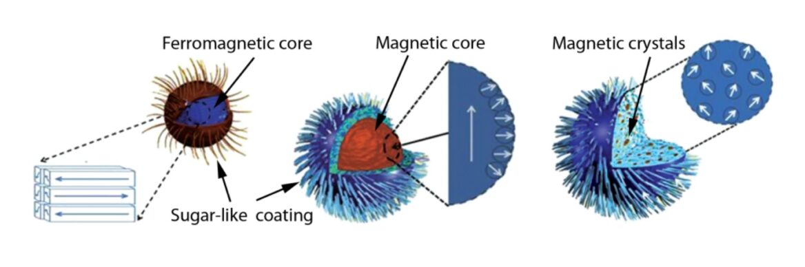 Neutrons Aid the Development of Cancer-Killing Nanoparticles - Neutrons ...